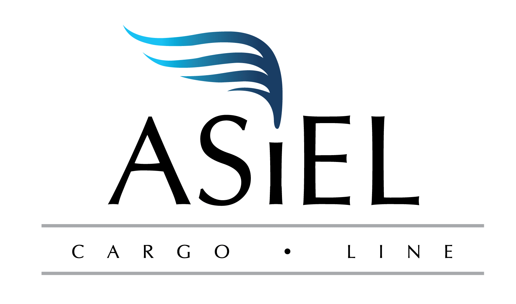 Inicio - Asiel Cargo - Agente aduanero - Courier